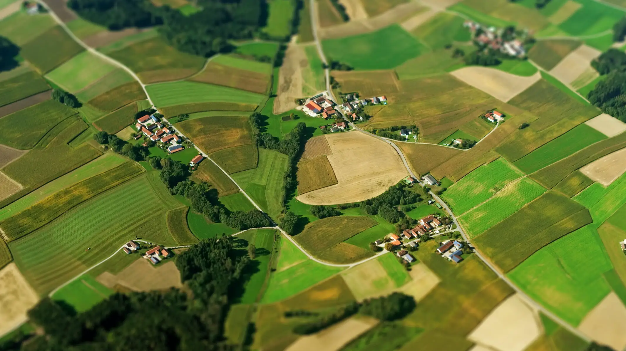 Reguli noi pentru proprietarii de teren. Cine nu va mai primi aviz. Nu ...
