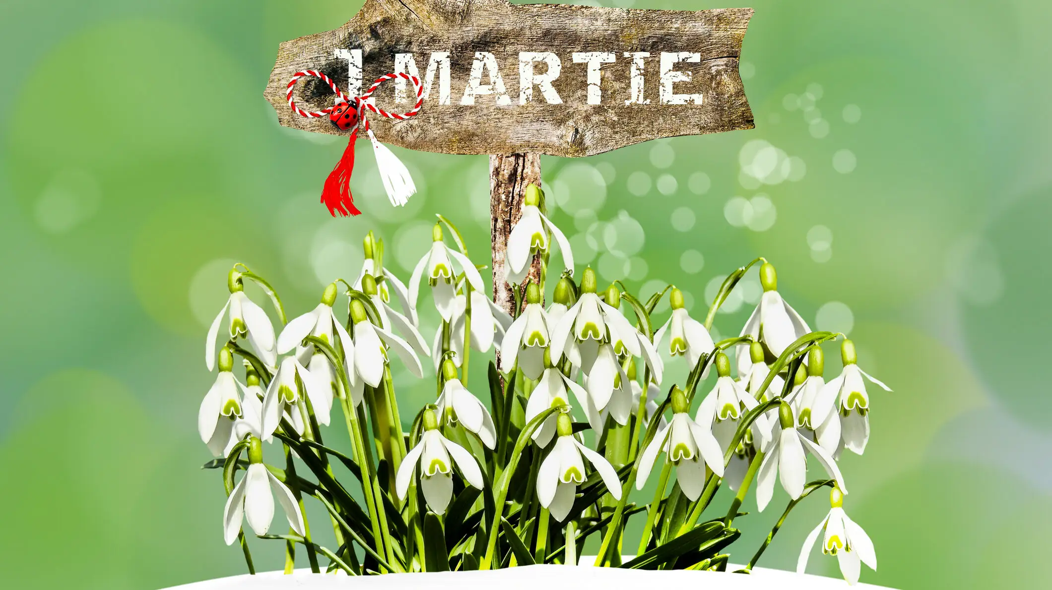 Cele mai inspirate cadouri de 1 Martie. Cum îi poți surprinde pe cei ...