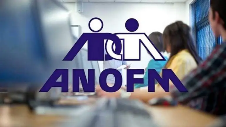 Guvernul îi trimite la muncă pe tineri. ANOFM vrea să identifice 275. ...
